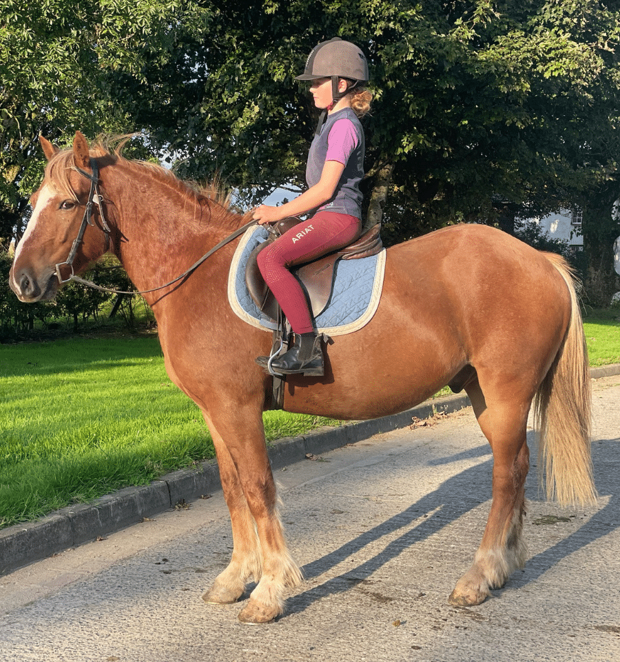 First Team 13.2-14.2h - Bespoke Equestrian Ireland